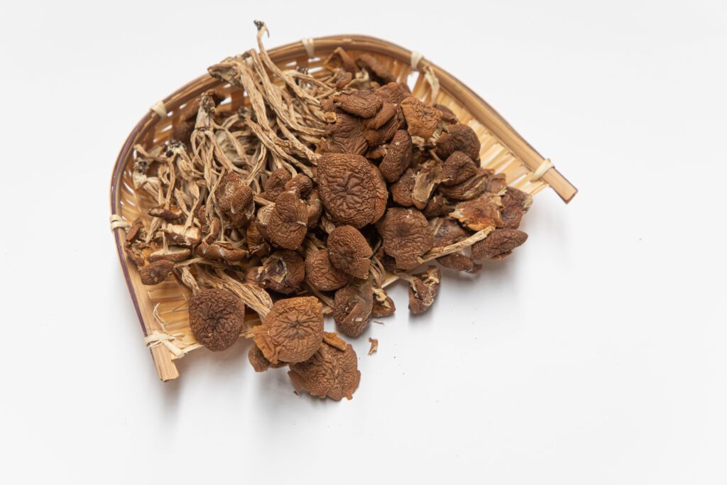 Dried Tea Tree Mushroom - Hong Guan Marine Products
